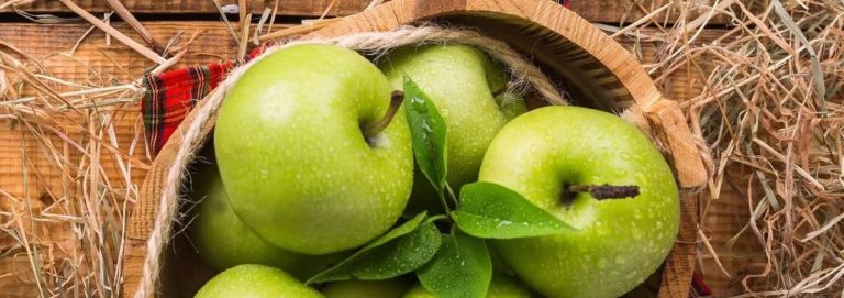 ¿Qué es la comida astringente?