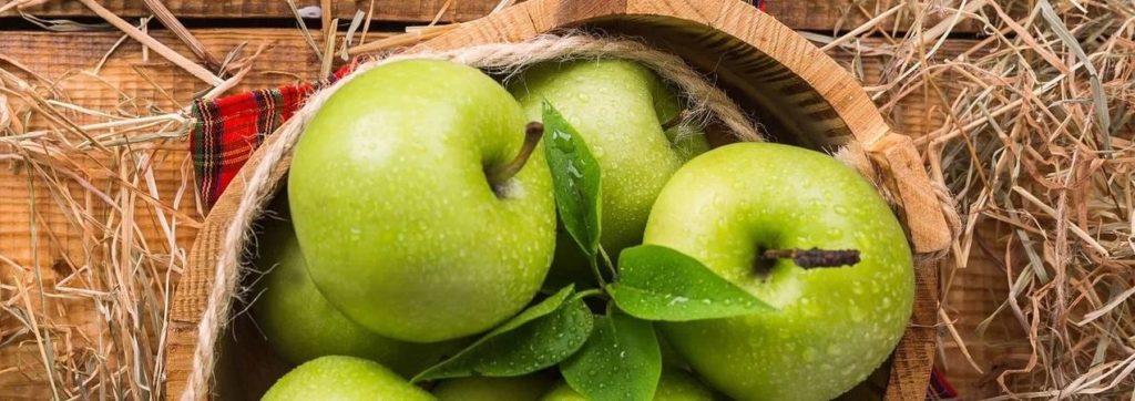 ¿Qué es la comida astringente?