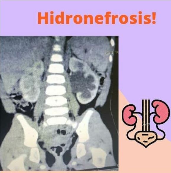 Dra. Mariangela López | DirectorioSalud Guía Médica Online