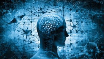 Qué es la Androginia Cerebral y qué beneficios podría tener