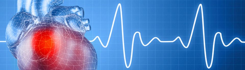 Dr. Fernando Prieto | DirectorioSalud Guía Médica Online